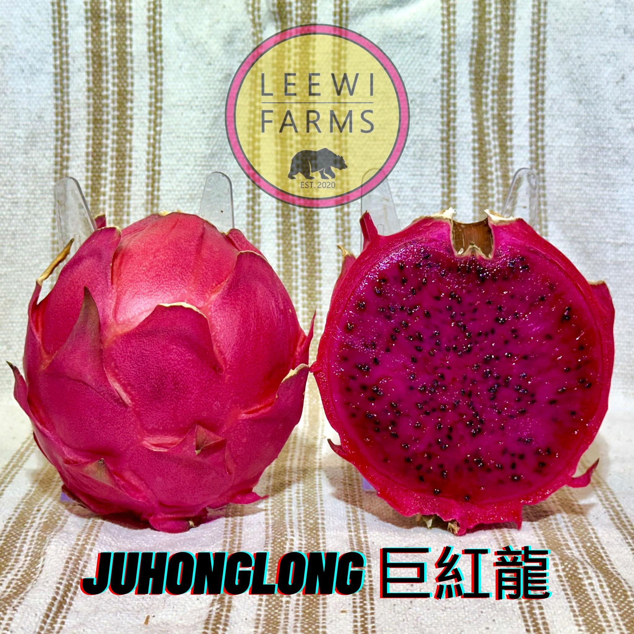 Ju Hong Long 巨紅龍 | Leewi Farms
