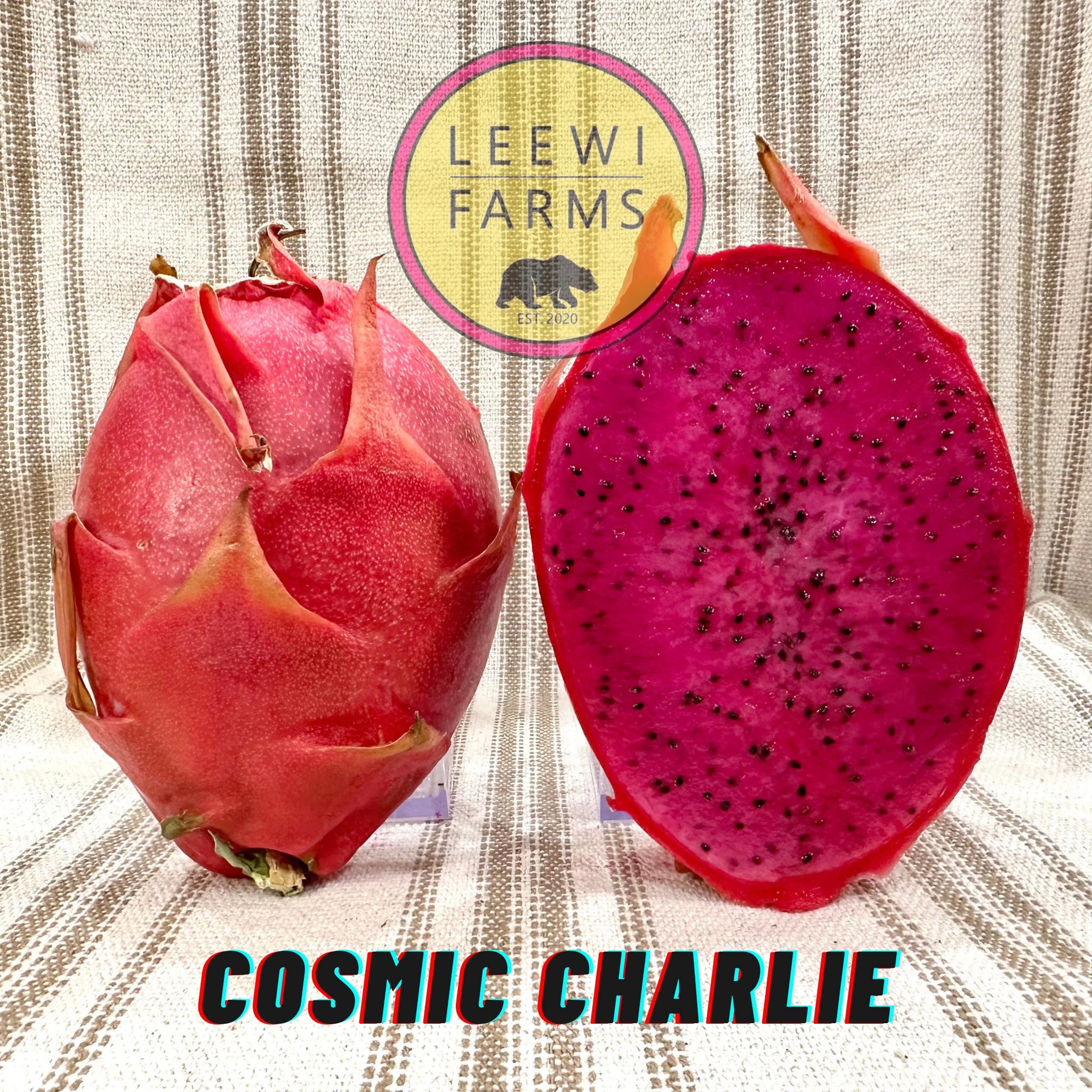 Cosmic Charlie | Leewi Farms