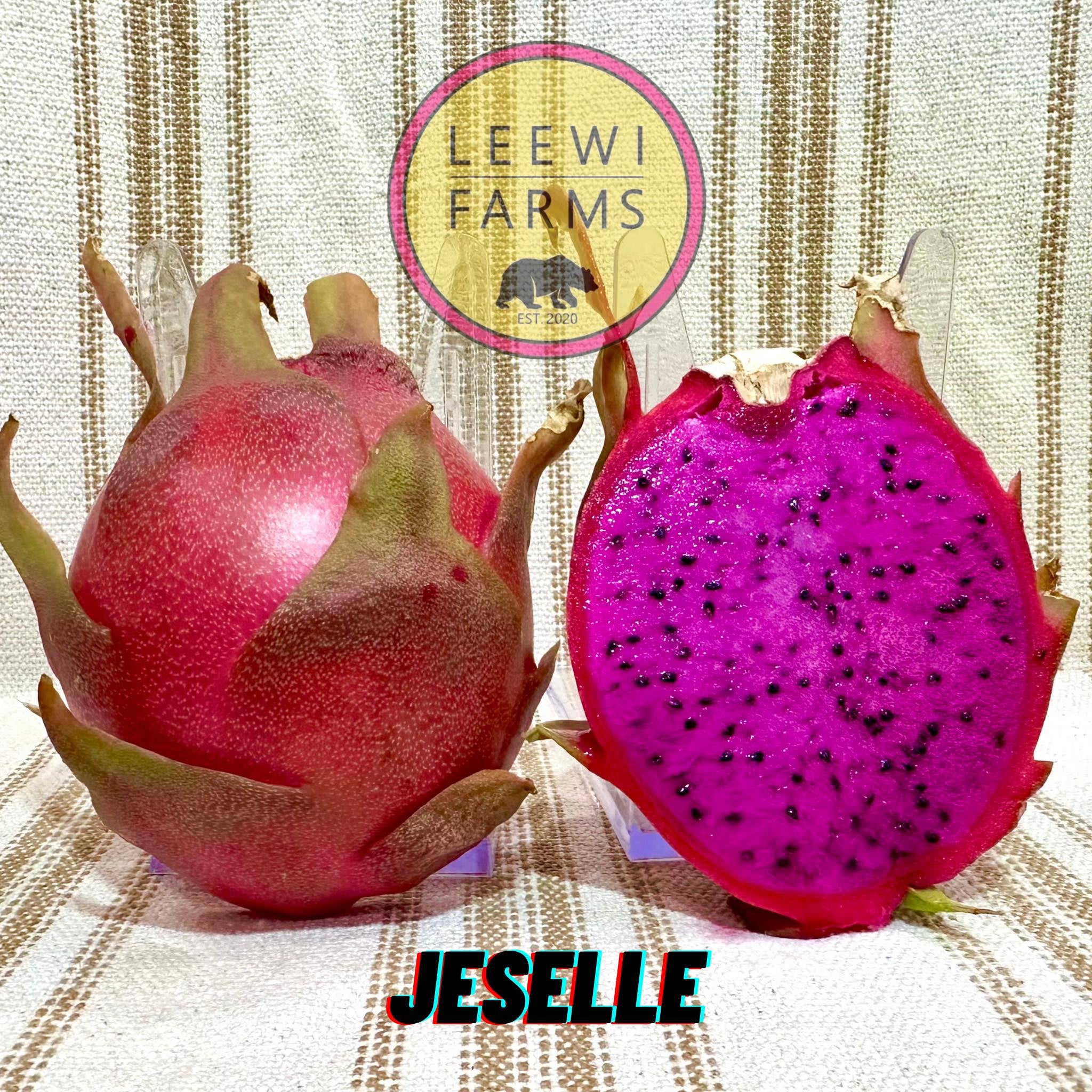 Jeselle | Leewi Farms