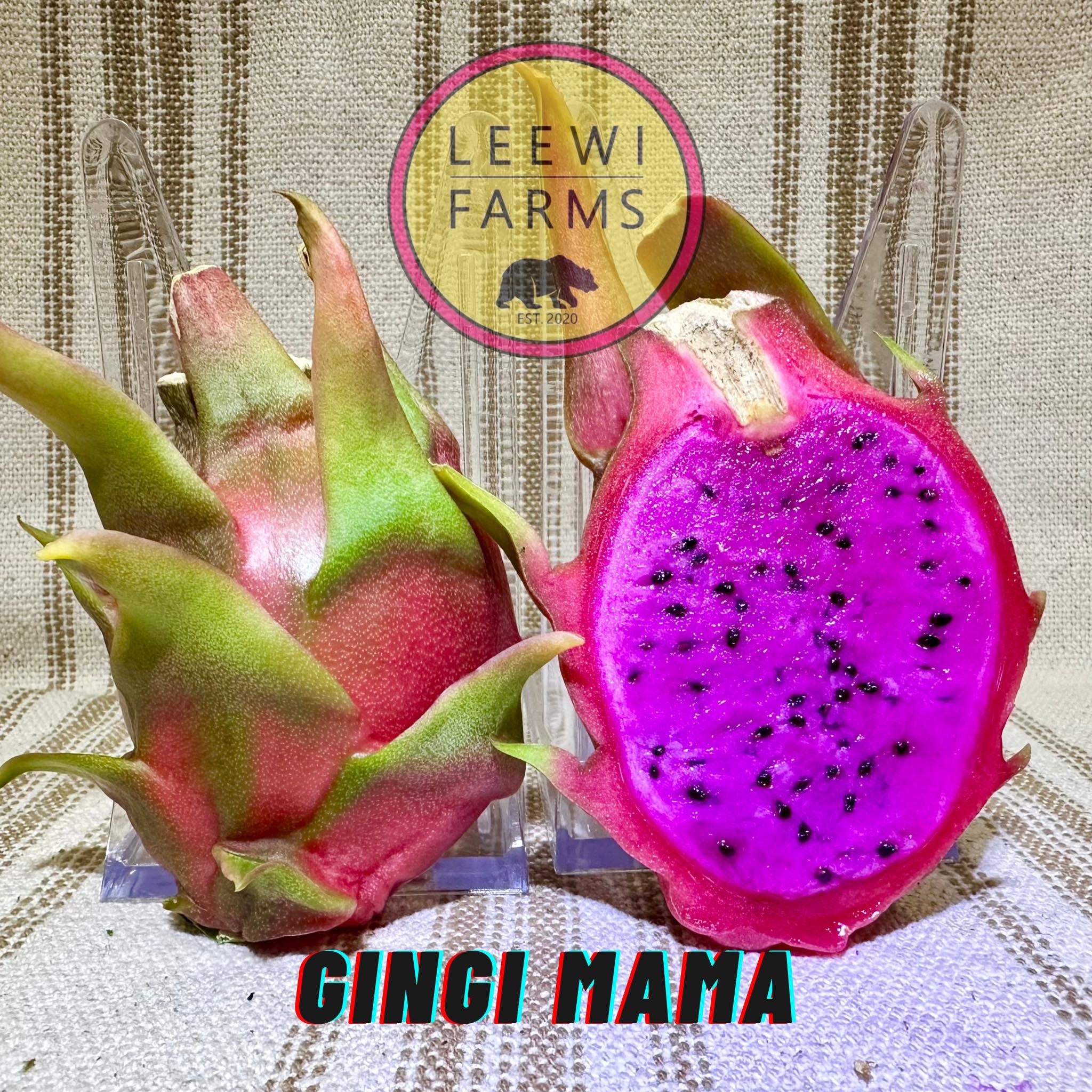 Gingi Mama | Leewi Farms
