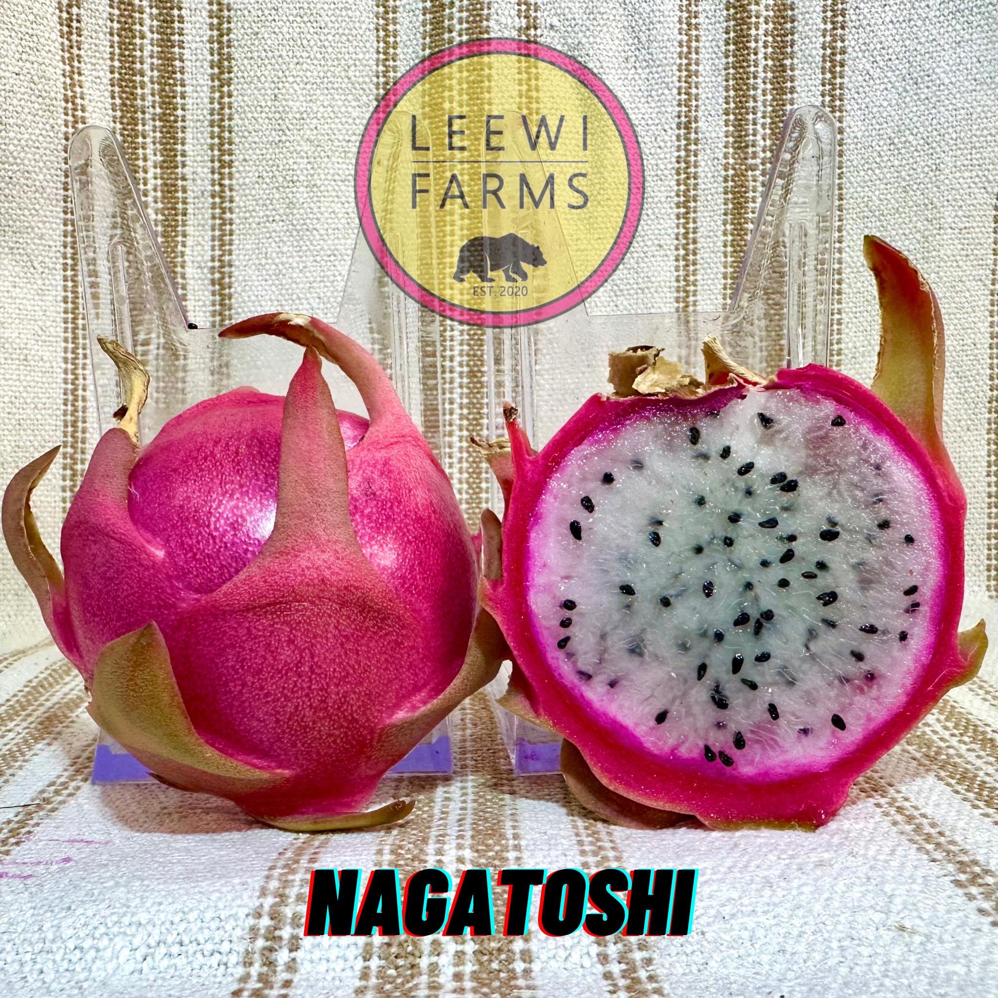 Nagatoshi | Leewi Farms
