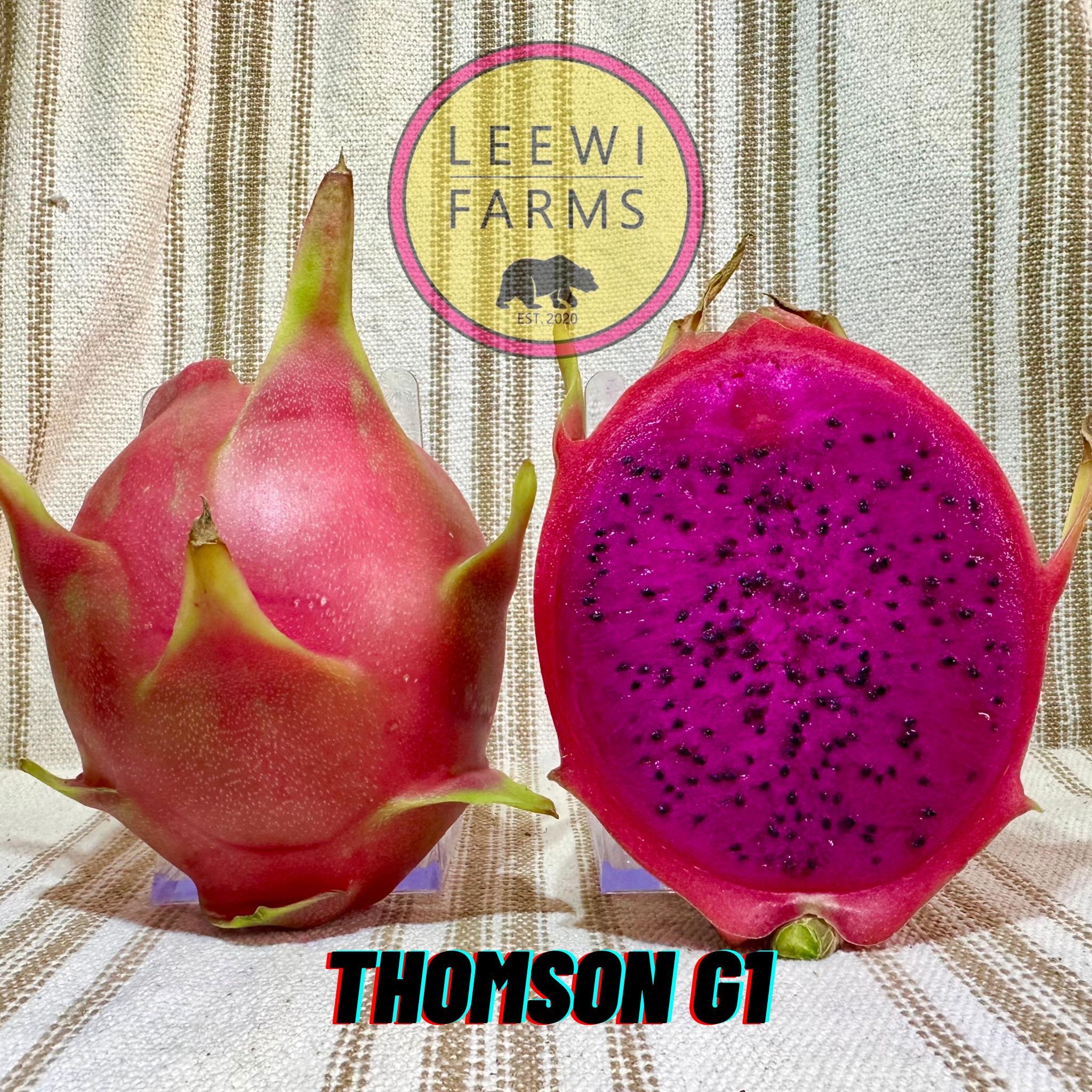 Thomson G1 | Leewi Farms