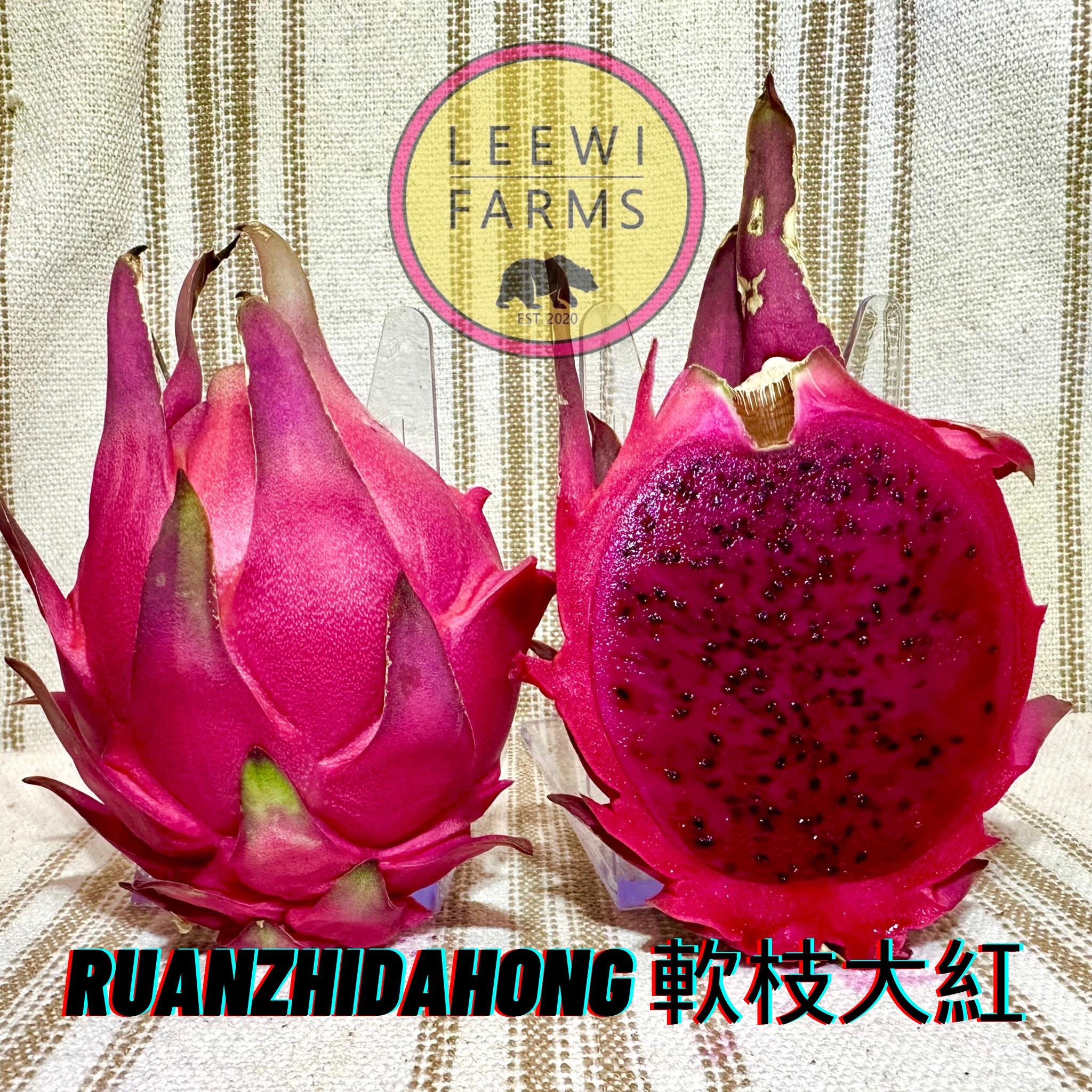 Ruan Zhi Da Hong 軟枝大紅 | Leewi Farms