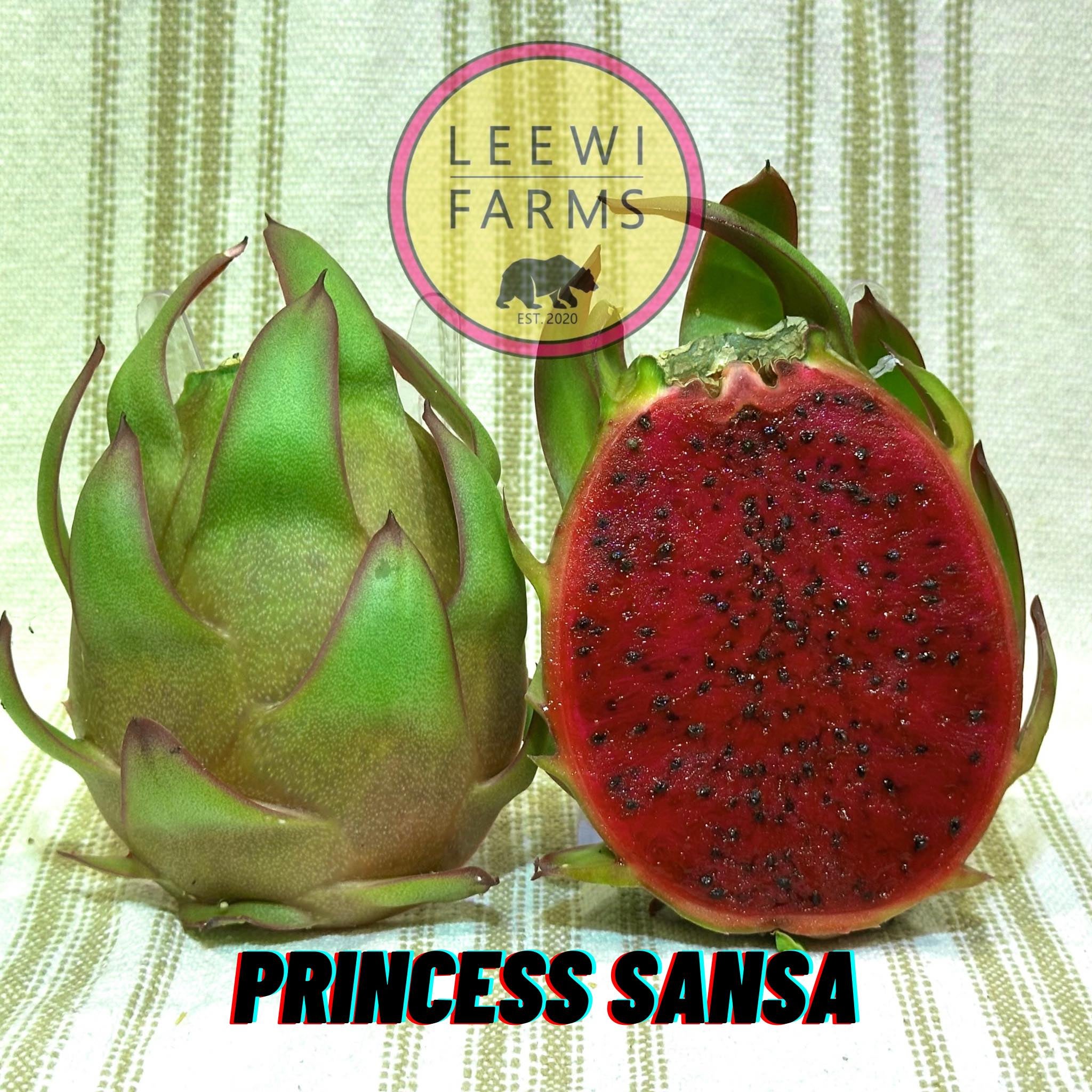 Princess Sansa | Leewi Farms