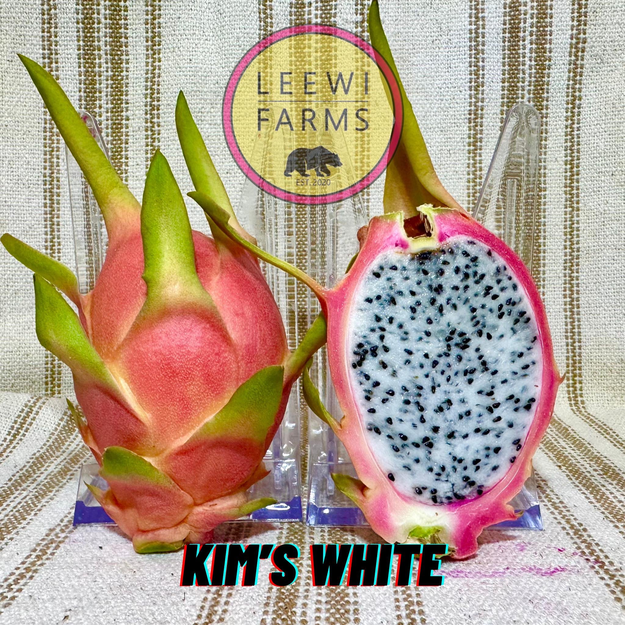 Kim's White | Leewi Farms