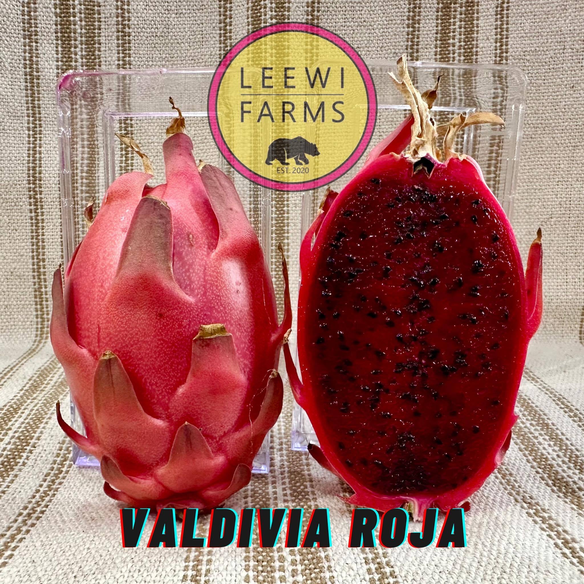 Valdivia Roja | Leewi Farms