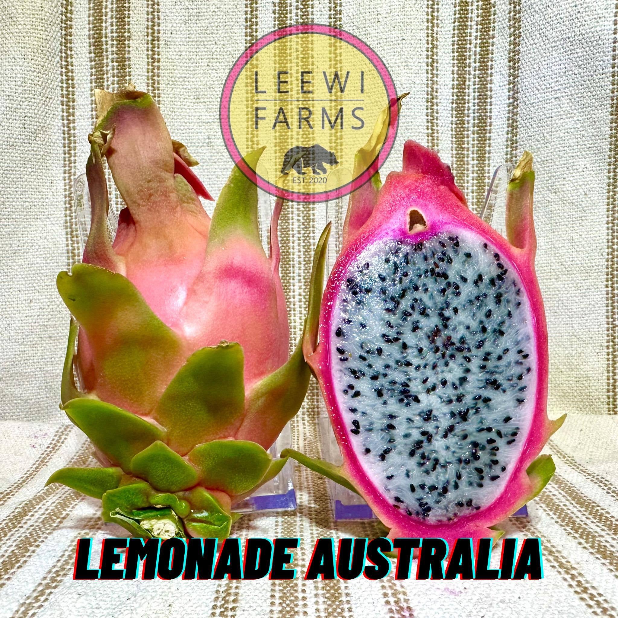 LEMONADE | Leewi Farms
